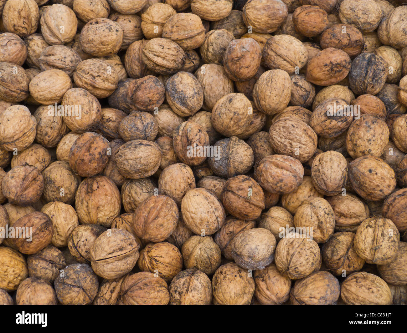 Walnuts from harvest view on top Stock Photo - Alamy
