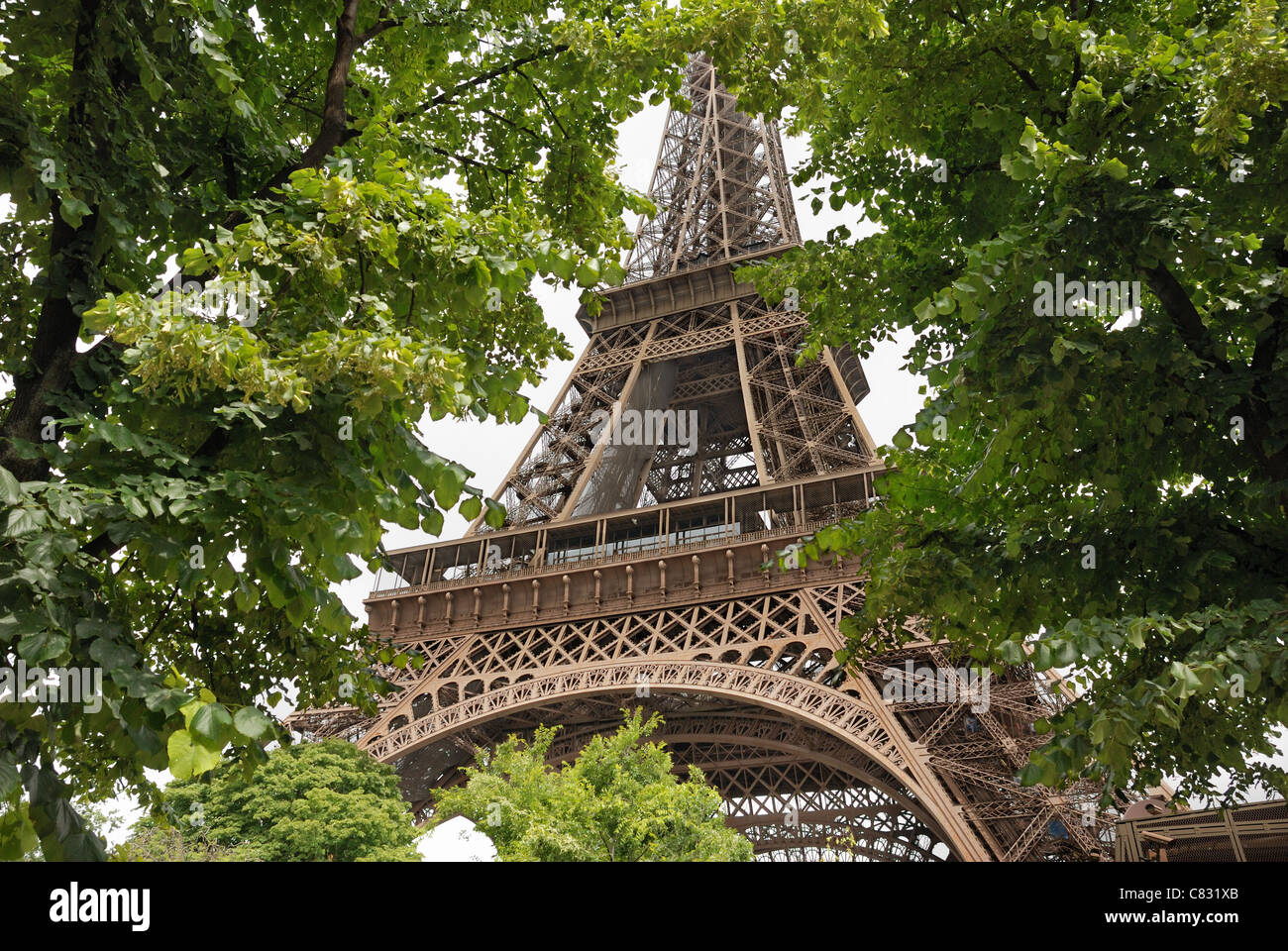 The Eiffel Tower with trees in Paris, France Stock Photo - Alamy