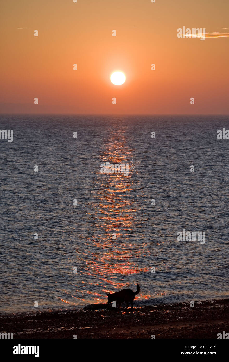 Stokes bay beach hi-res stock photography and images - Alamy