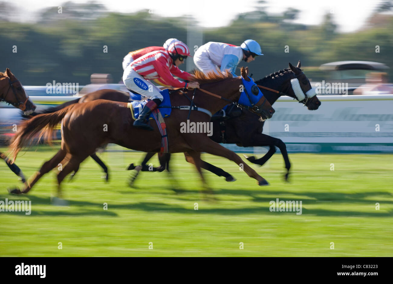 Horse racing Group of horses racing UK Stock Photo - Alamy
