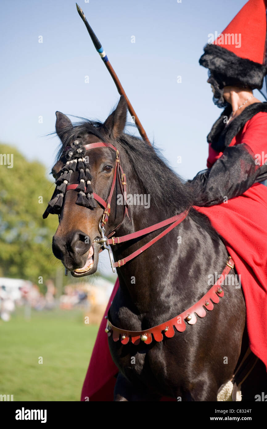 Medieval Jousting Show High Resolution Stock Photography and Images - Alamy