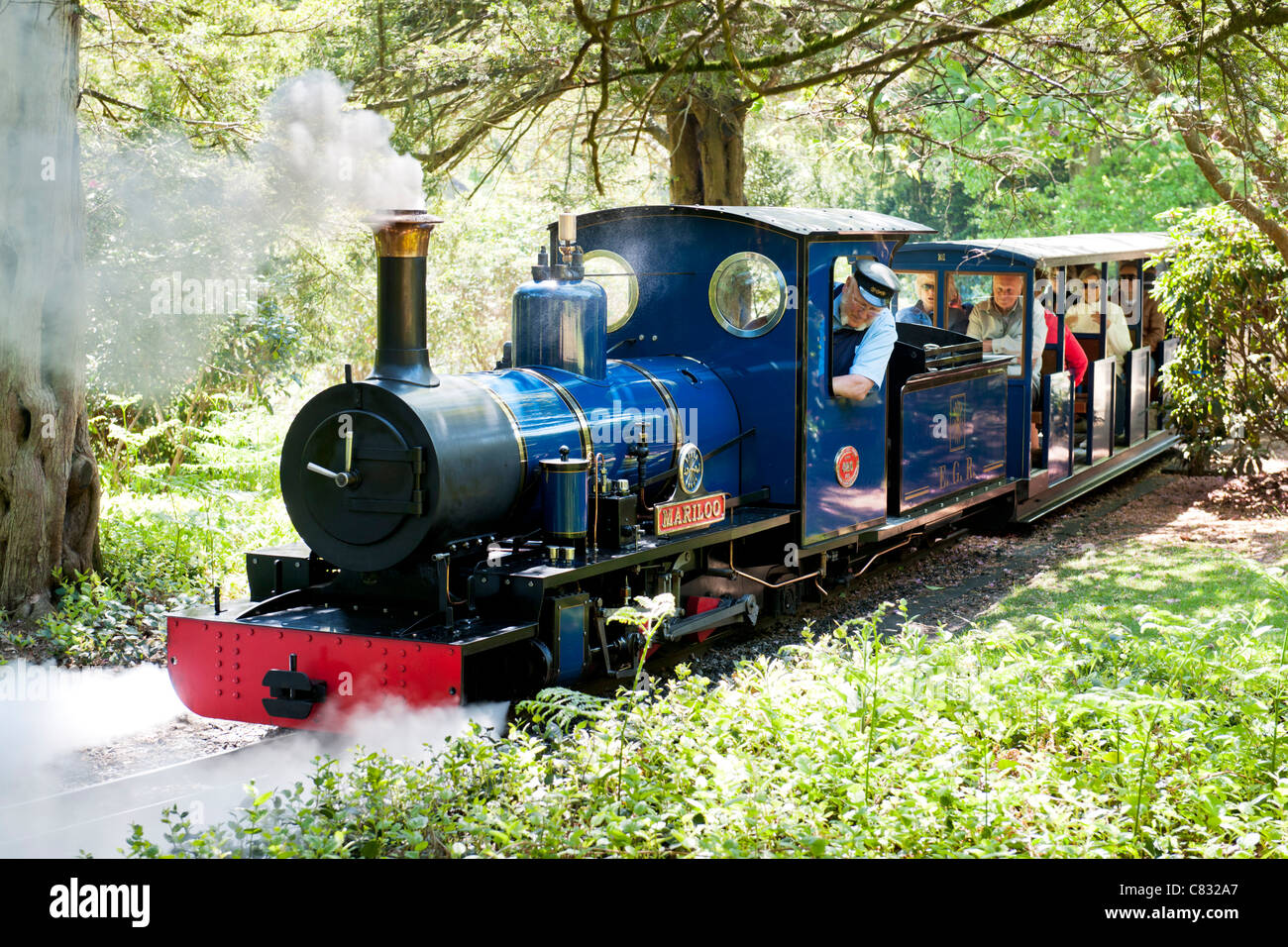 New steam locomotive hi-res stock photography and images - Alamy