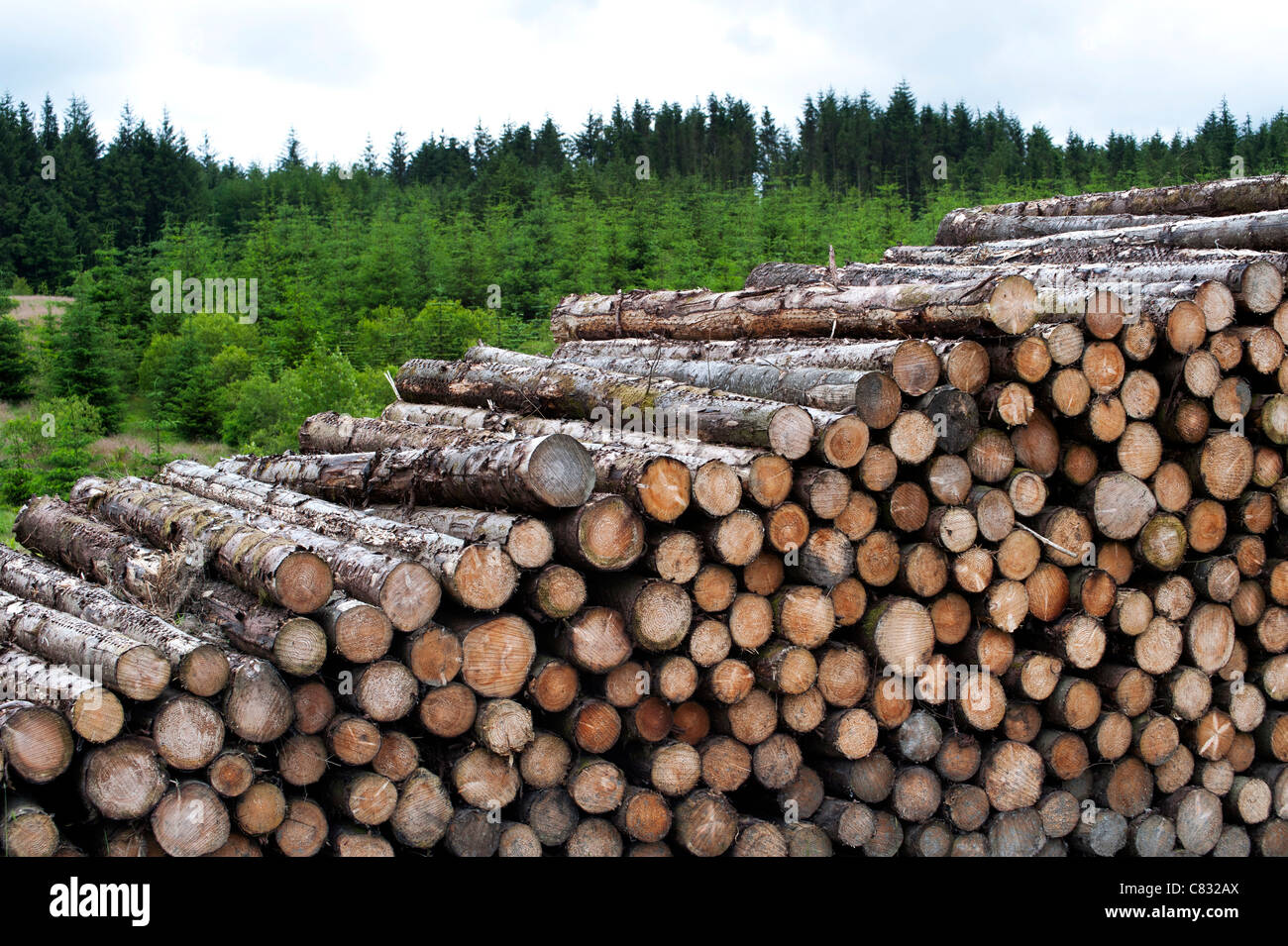 Commercially sustainable hi-res stock photography and images - Alamy