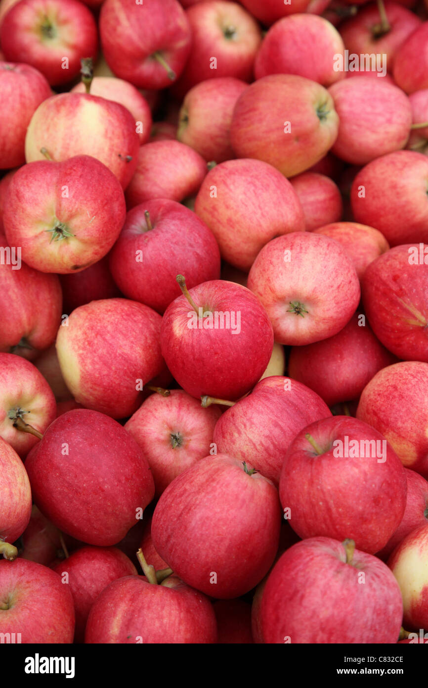 red apple close up shot Stock Photo - Alamy
