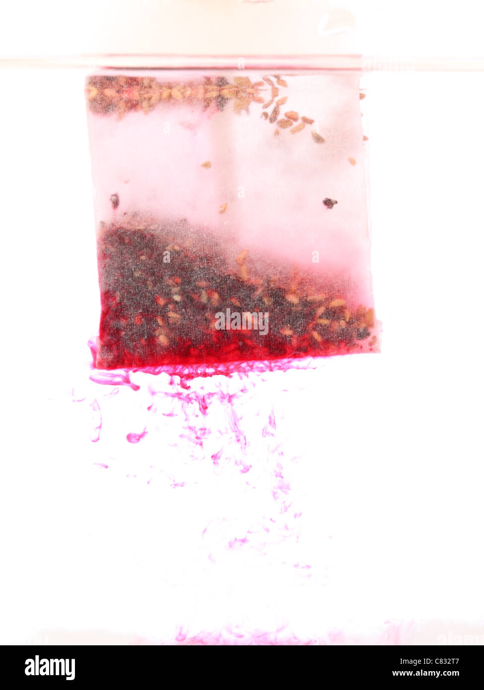 red Teabag in hot water in white background Stock Photo - Alamy