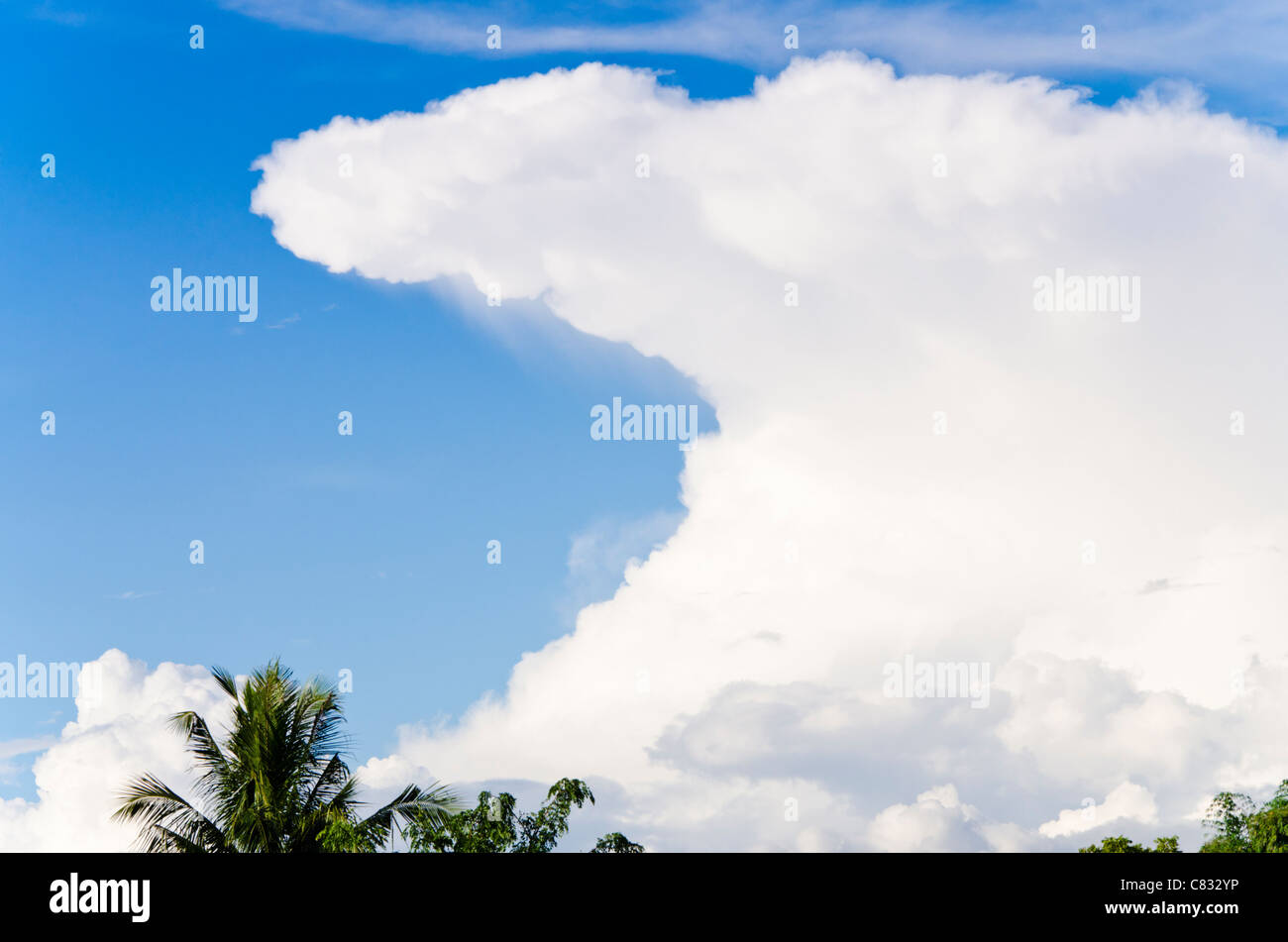 Threatening anvil shaped cumulonimbus cloud surrounded by blue sky ...