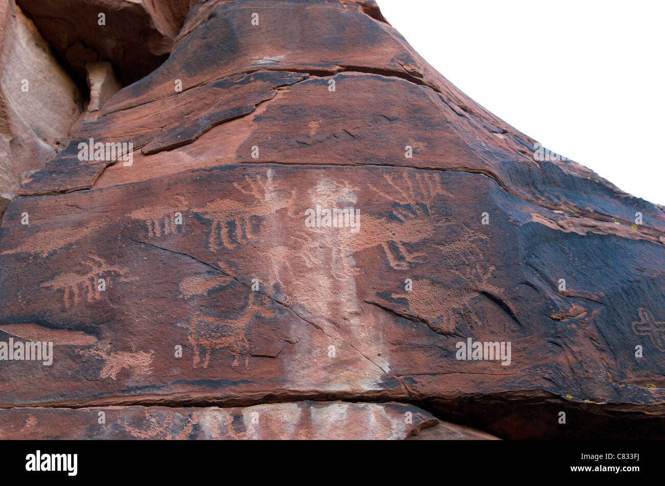 Native american indian deer hi-res stock photography and images - Alamy