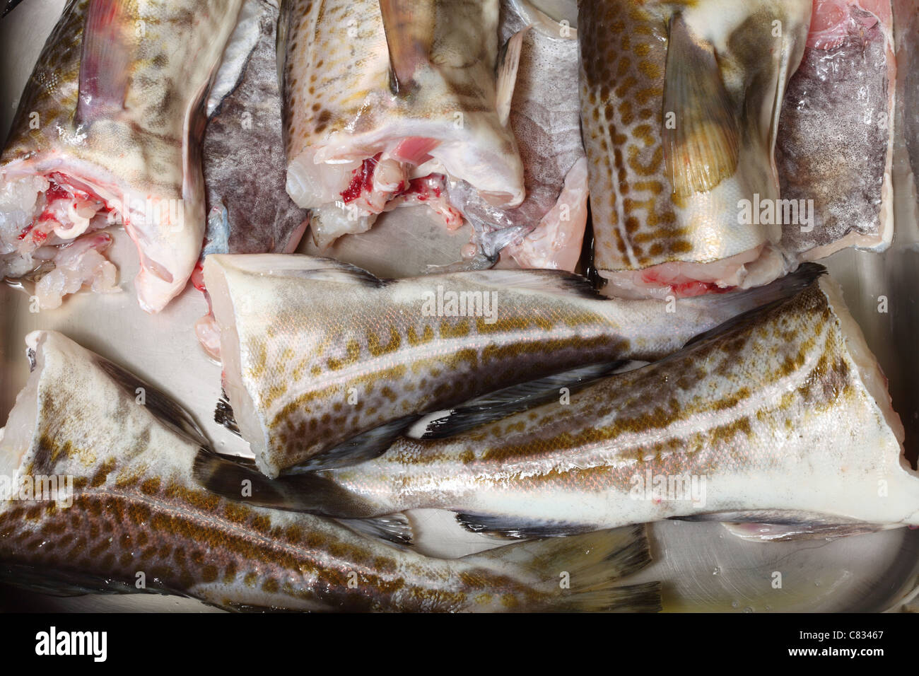 Raw cod fish fillets in kitchen Stock Photo - Alamy