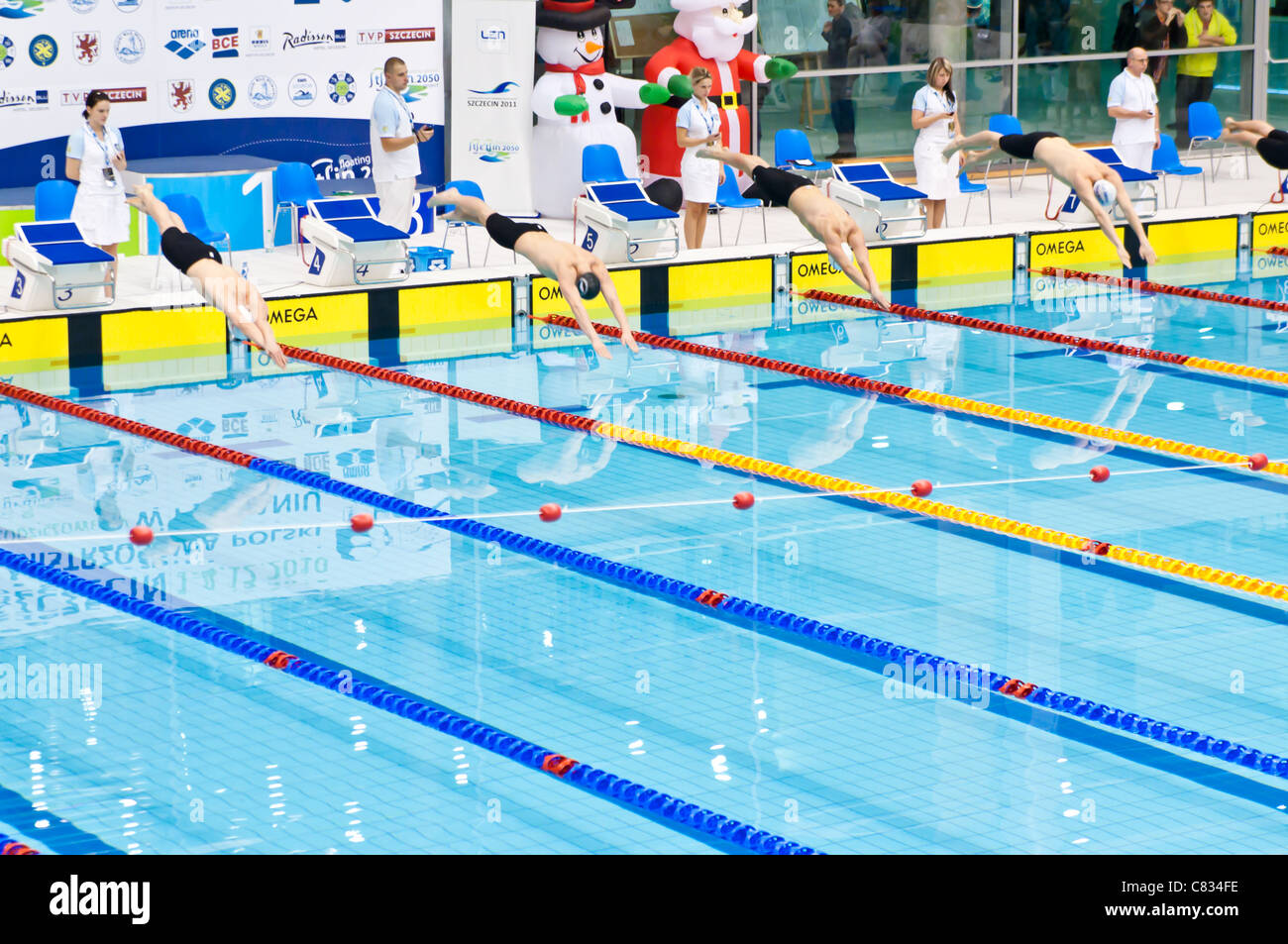 swimmers starting to the competition Stock Photo - Alamy