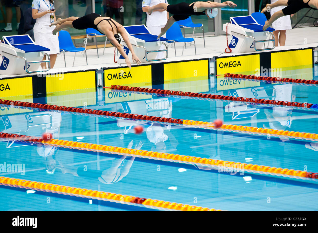 swimmers starting to the competition Stock Photo - Alamy