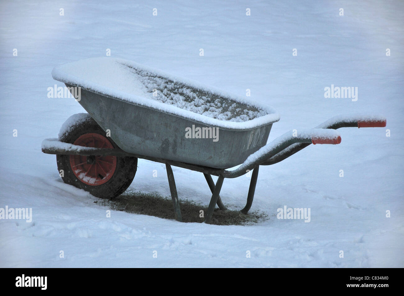 An empty wheelbarrow covered in snow in a garden UK Stock Photo - Alamy