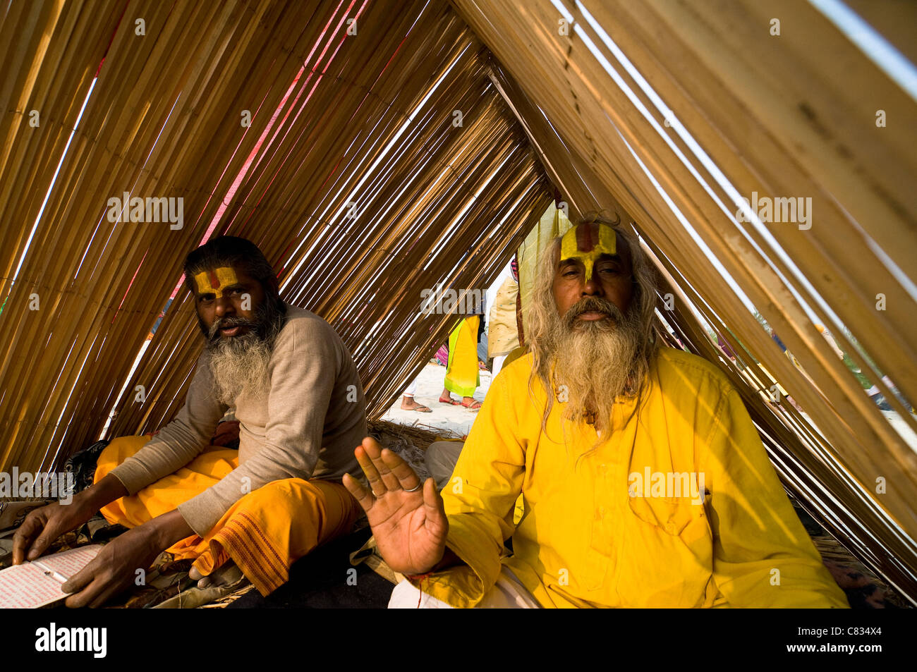 Sadhus in india hi-res stock photography and images - Alamy