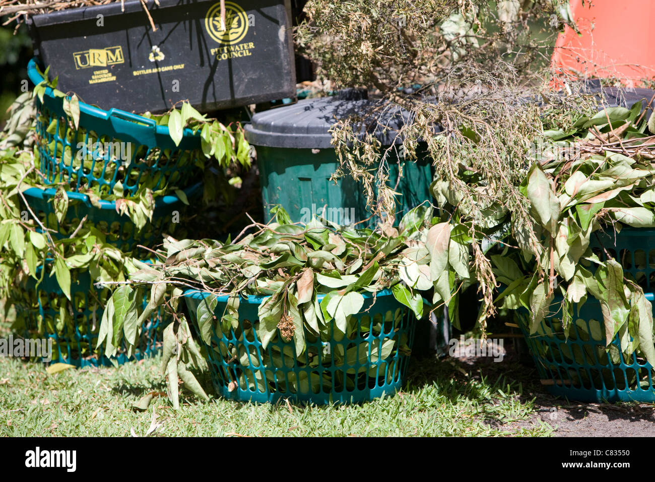 Vegetation and green garden waste cuttings in bins and cartons by the ...