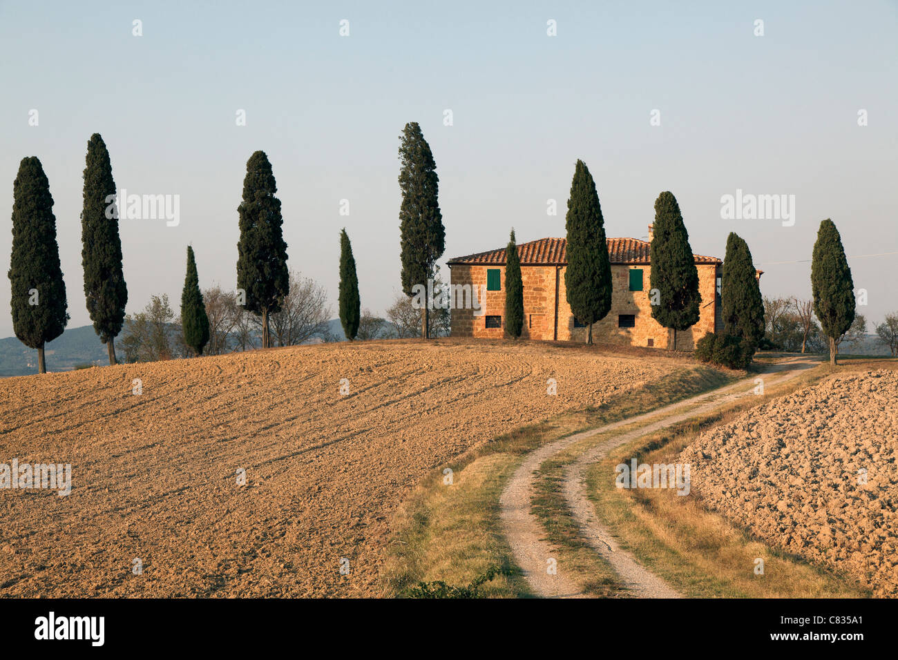 Famous Tuscan scene with cypress trees surrounding farmhouse Stock ...