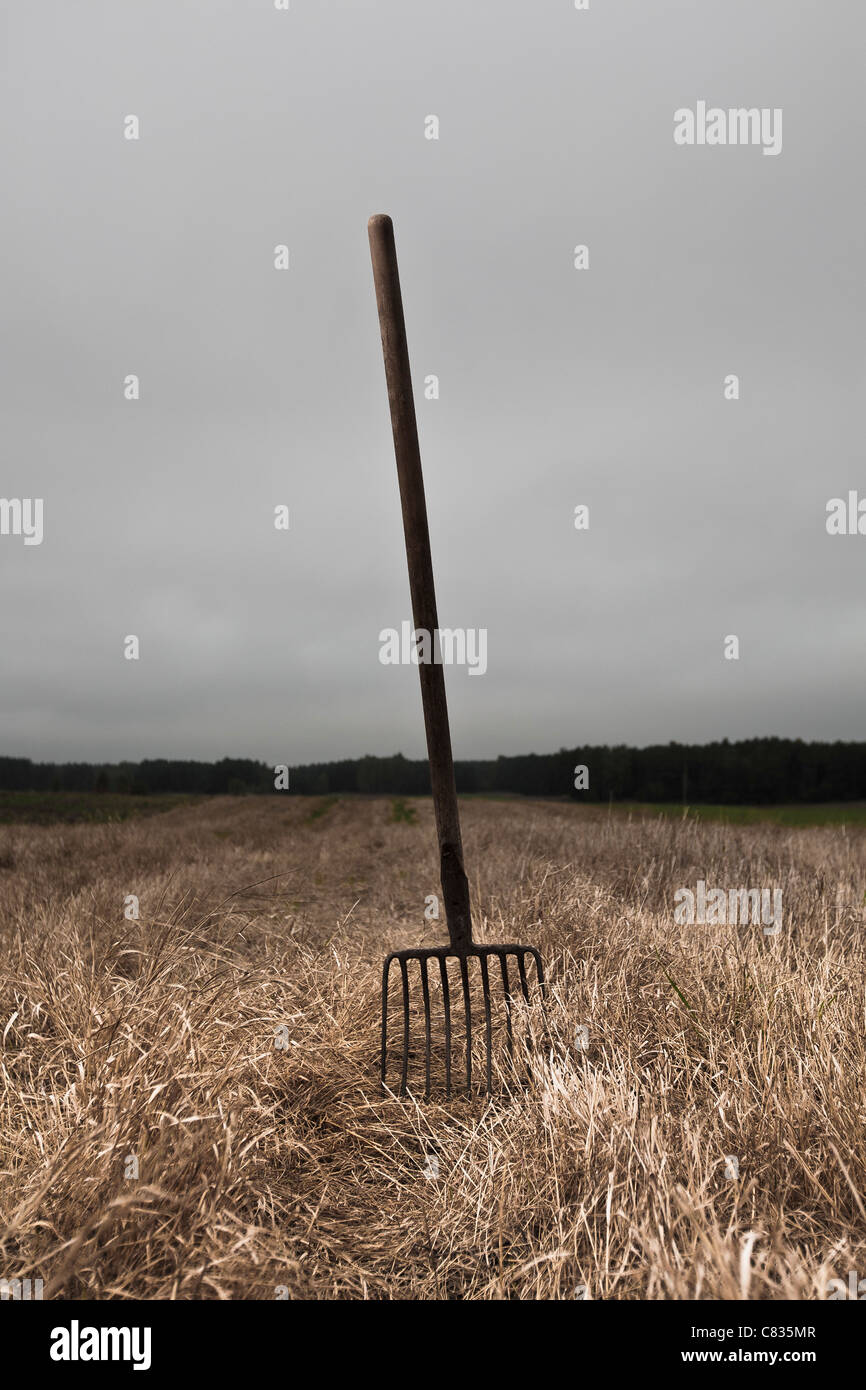 pitchfork in the field Stock Photo - Alamy