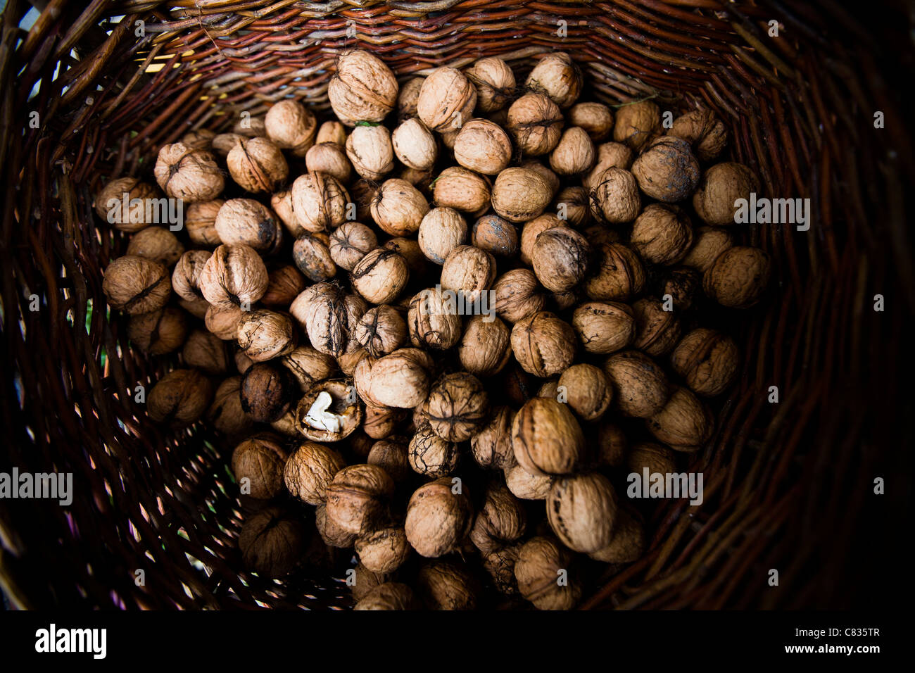 Inside walnut hi-res stock photography and images - Alamy