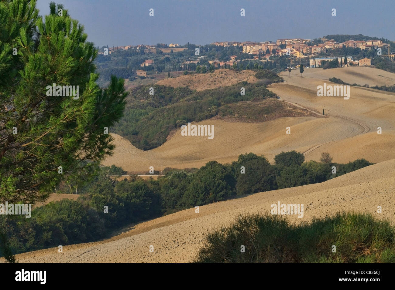 Tuscan landscape with undulating hills and trees Stock Photo - Alamy