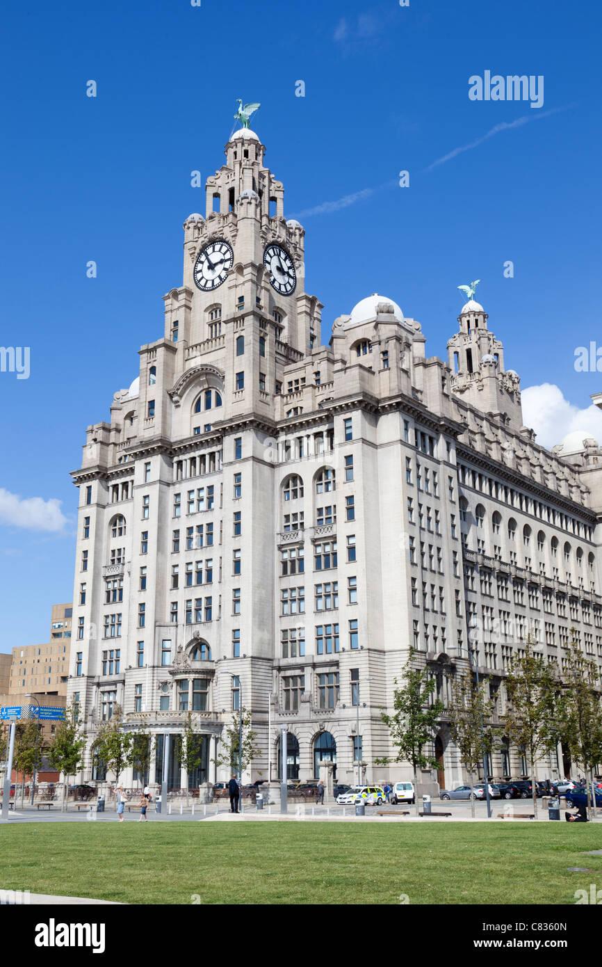 Royal Liver Building, Liverpool Stock Photo - Alamy