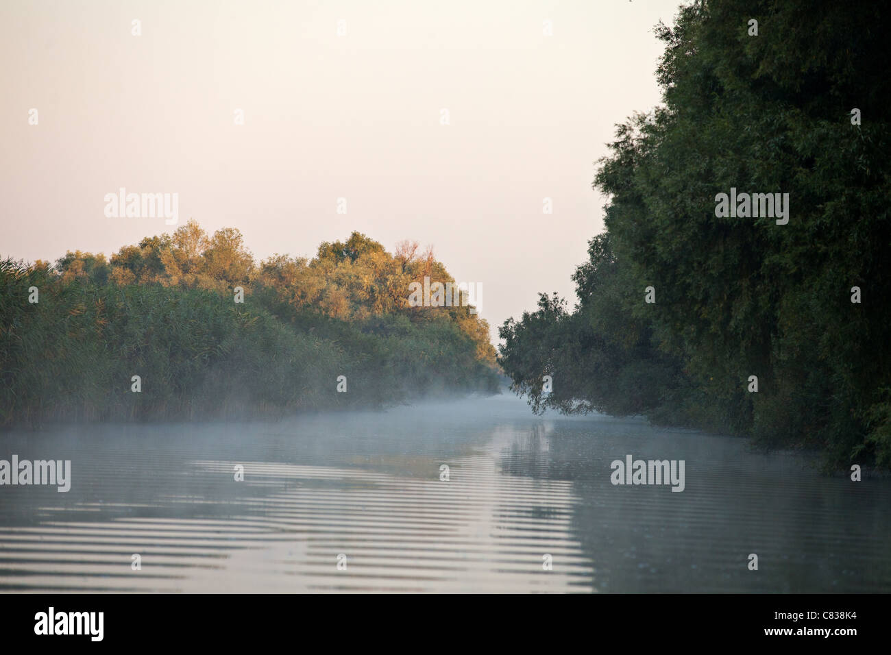 Danube delta trees hi-res stock photography and images - Alamy
