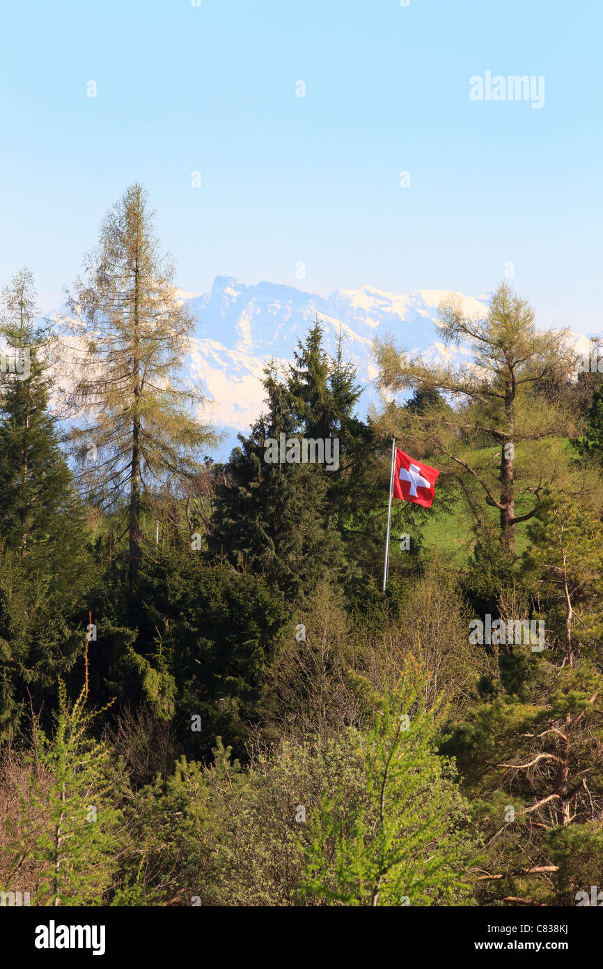 Swiss trees hi-res stock photography and images - Alamy