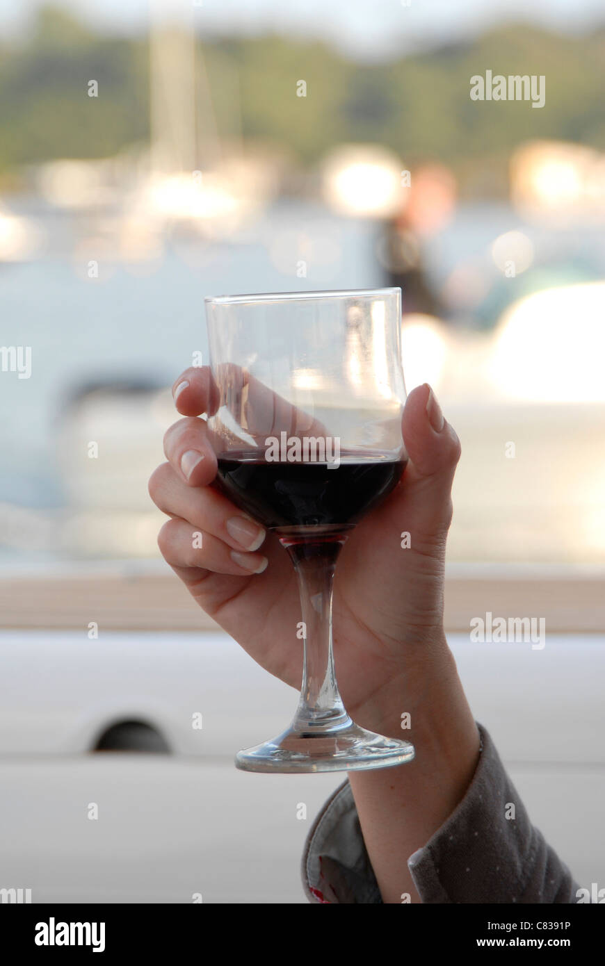 Hand raising glass of red wine Stock Photo - Alamy