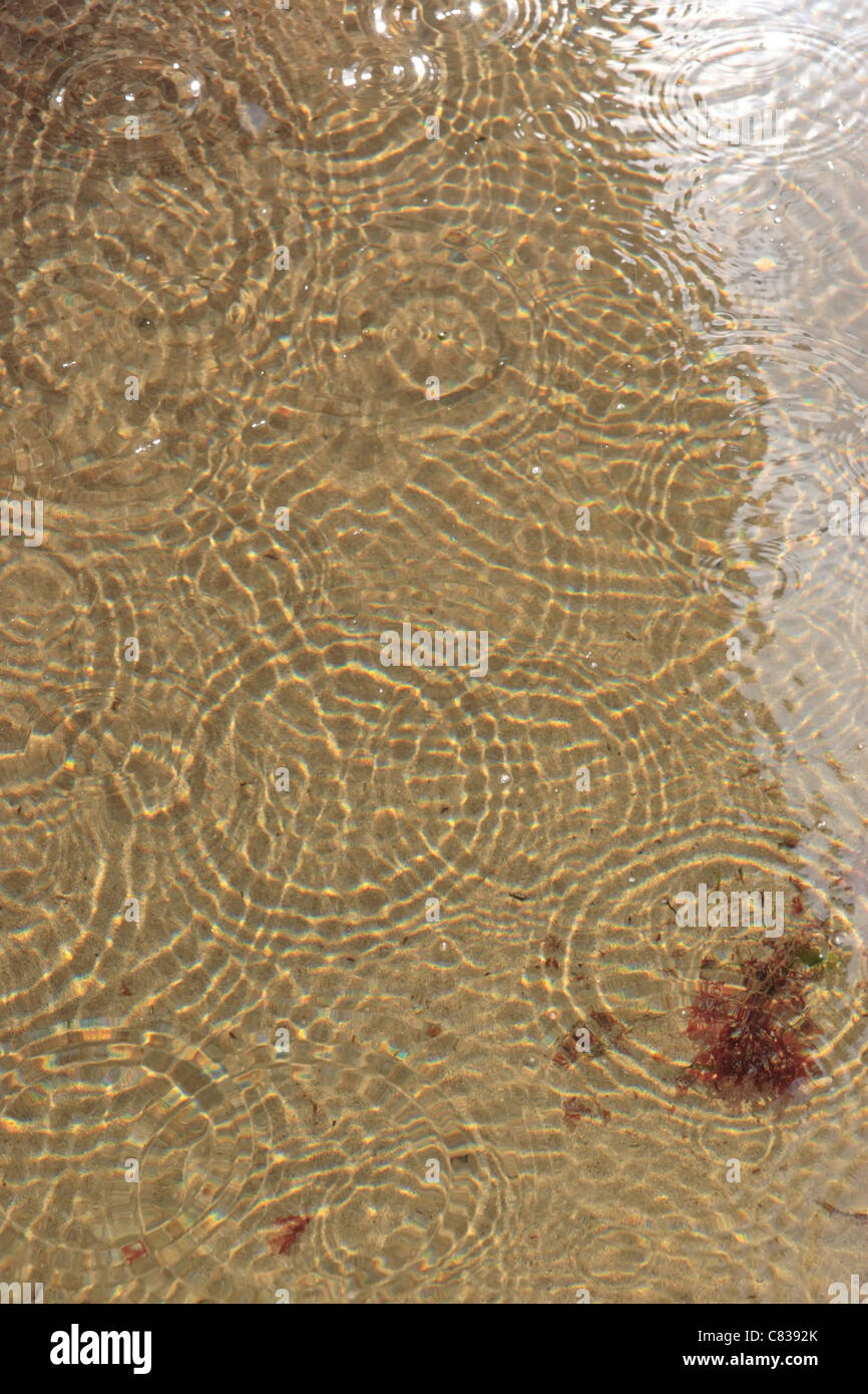 rain drop rippled circles in a beach pool Stock Photo - Alamy