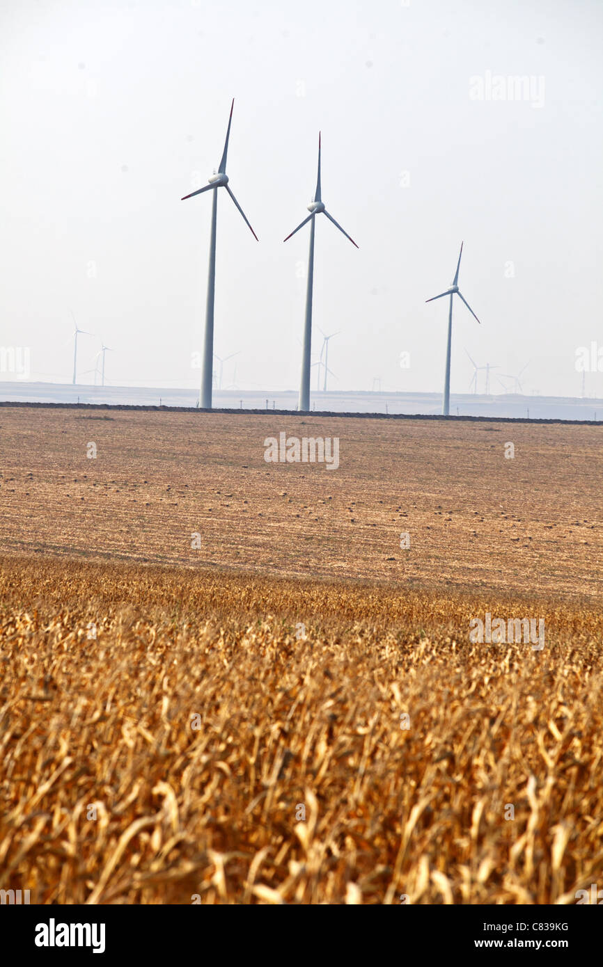 Romania field hi-res stock photography and images - Alamy