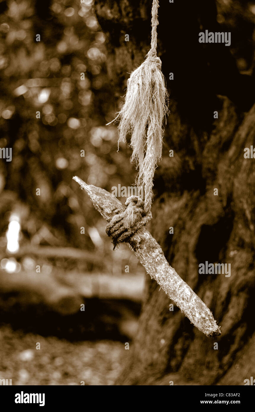 Rope swing hanging from tree Stock Photo - Alamy