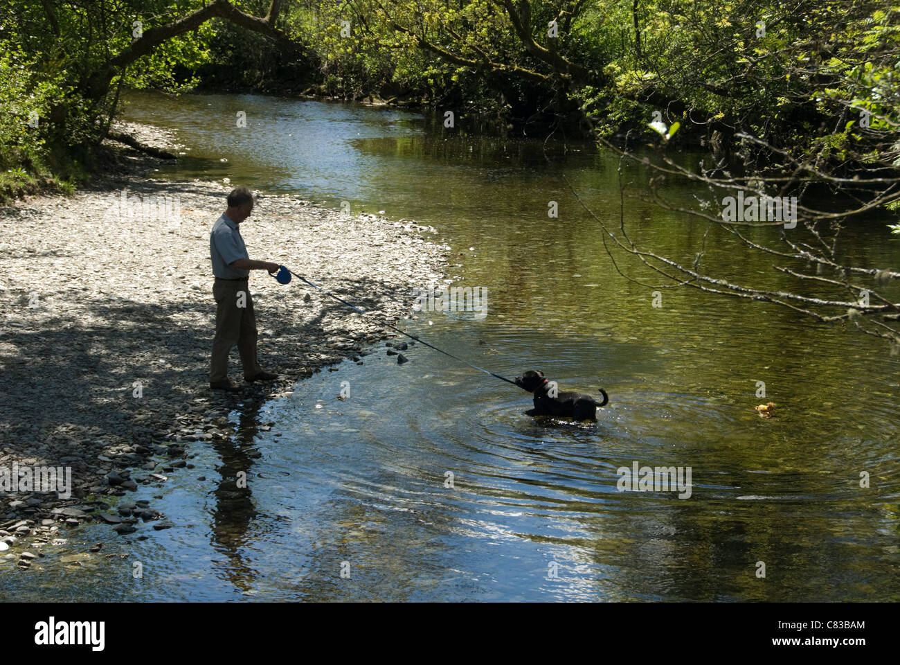 SCOTLAND; ARGYLL & BUTE; BATHING DOG IN LUSS WATER Stock Photo - Alamy