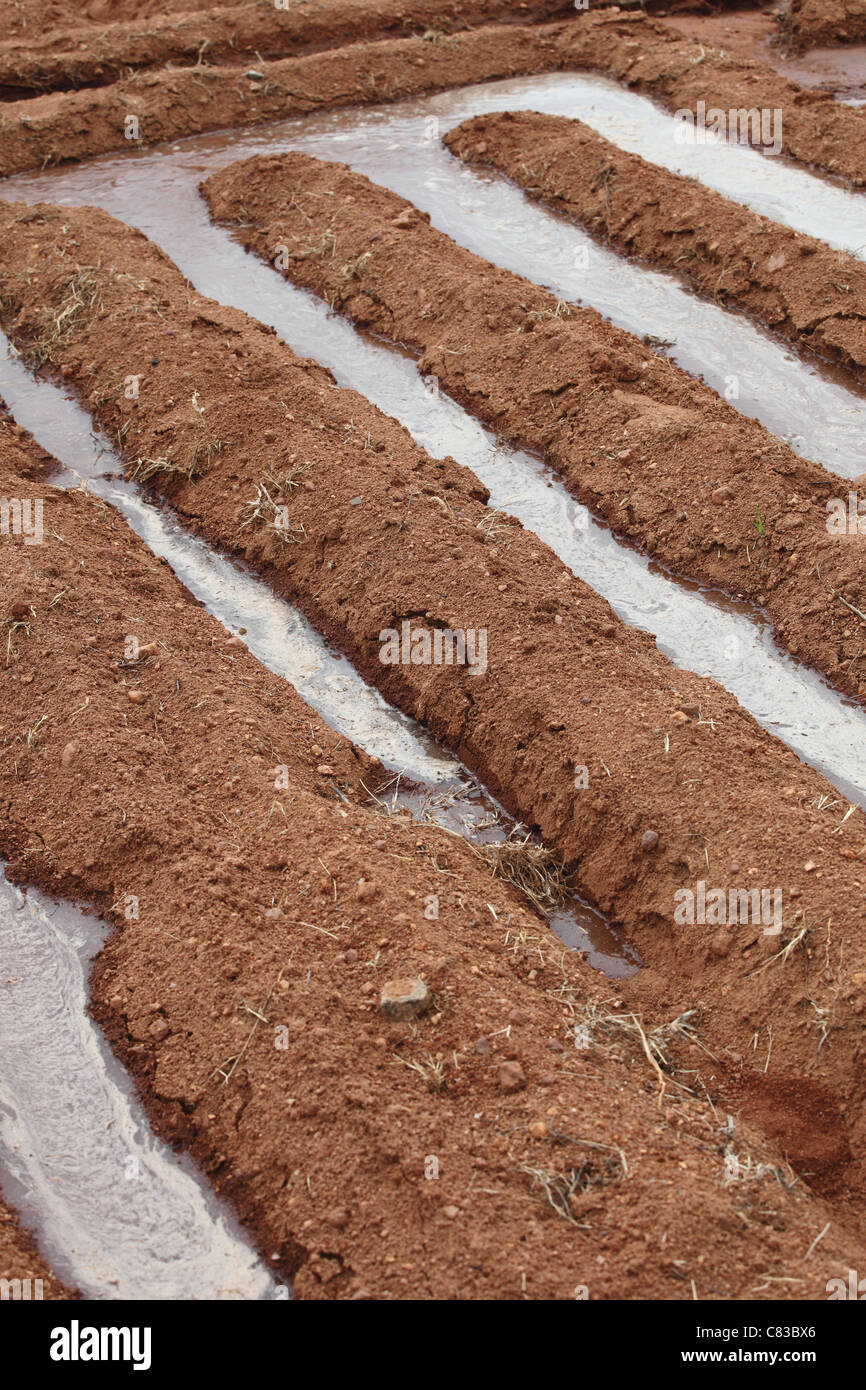 Indian irrigation hi-res stock photography and images - Alamy