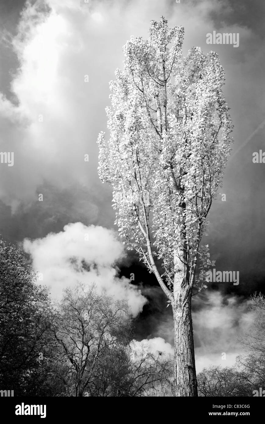 Change Mood Black and White Stock Photos & Images - Alamy