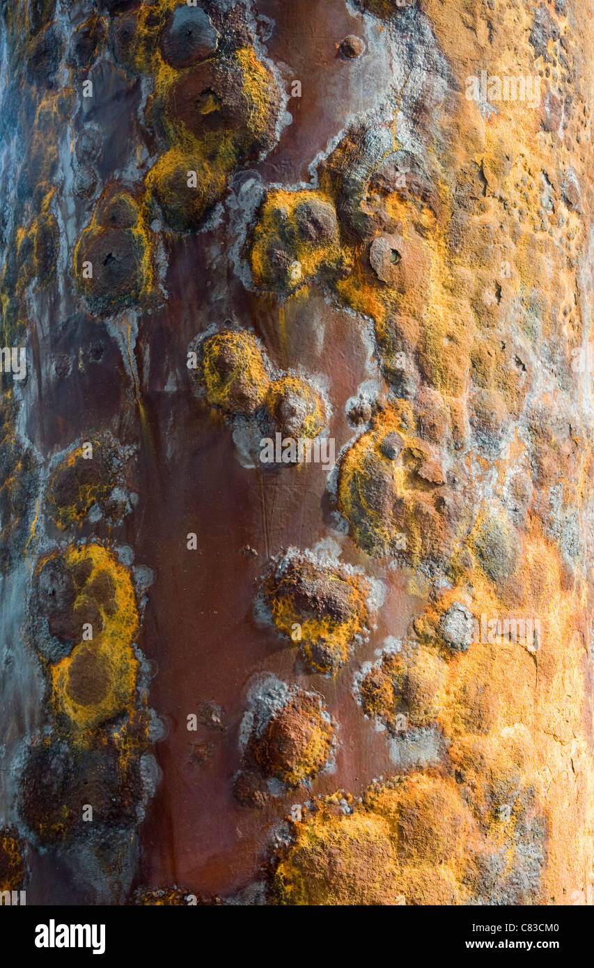 Pier at Cloghan Point, Belfast Lough. Originally built to supply oil ...