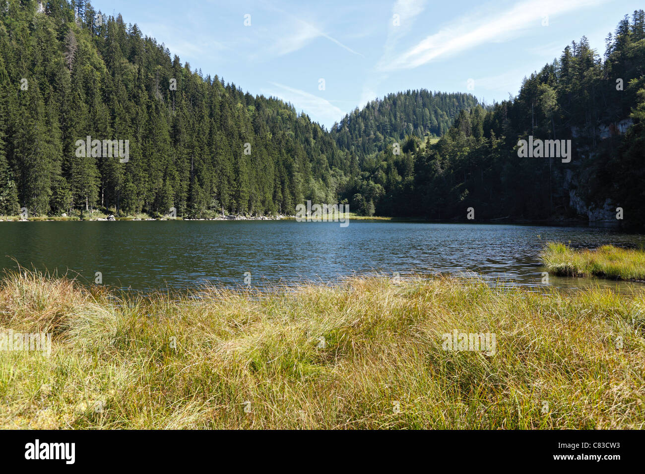Taubensee Chiemgau Upper Bavaria Germany Stock Photo - Alamy