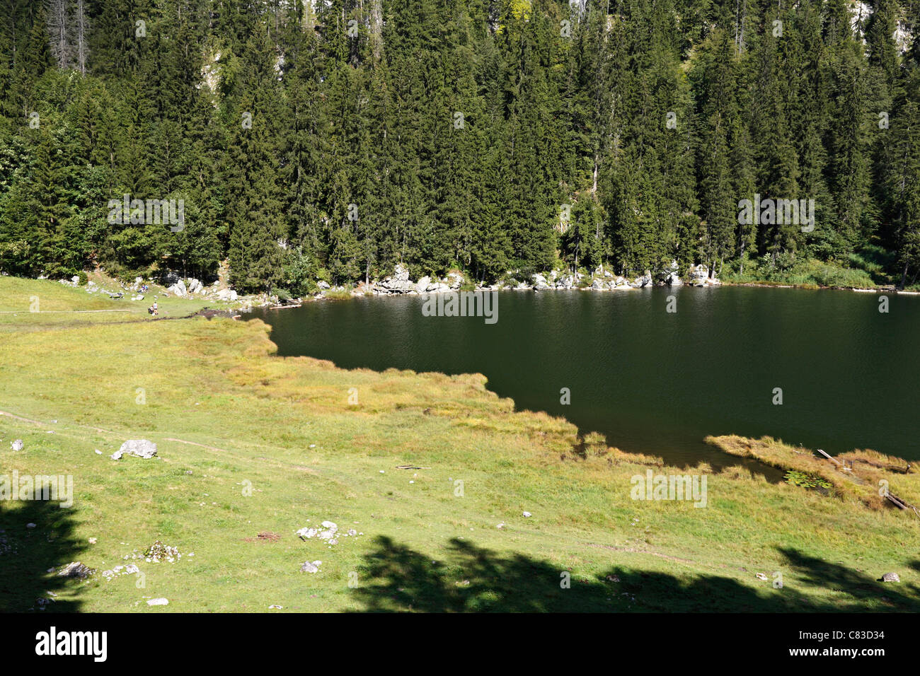 Taubensee Chiemgau Upper Bavaria Germany Stock Photo - Alamy