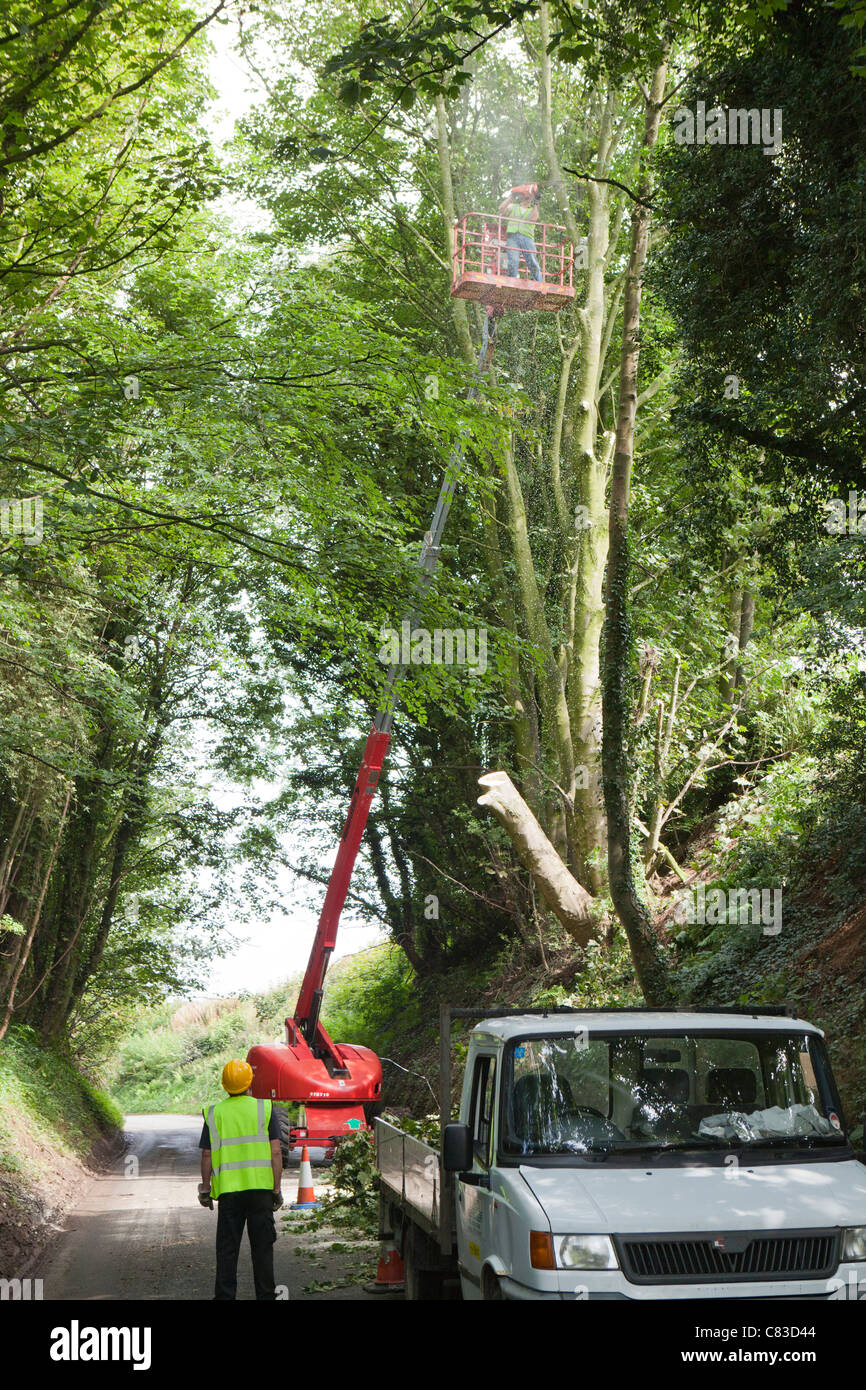 Tree surgeons lift hi-res stock photography and images - Alamy