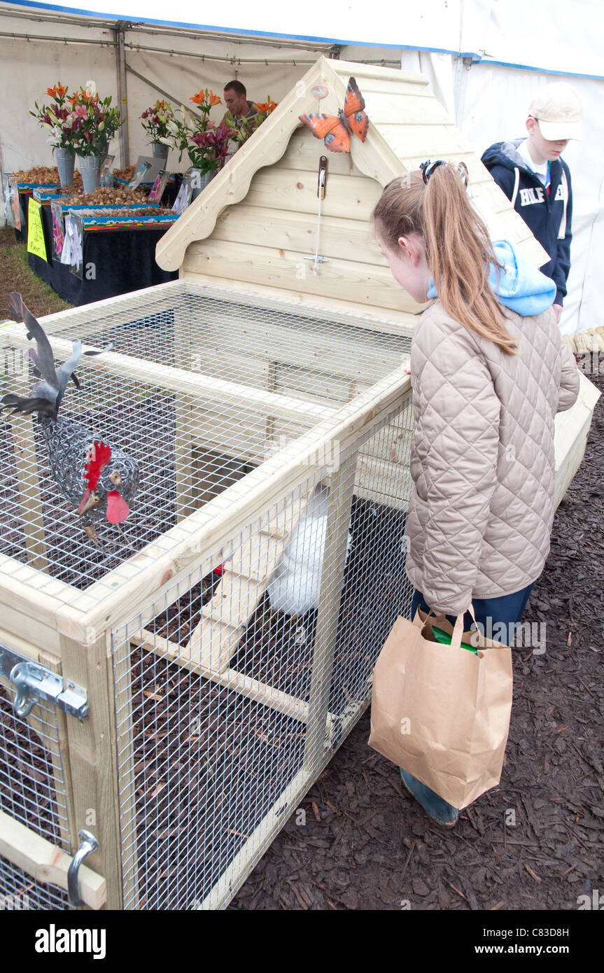 YOUNG GIRL LOOKING AT HENS IN CHICKEN RUN Stock Photo - Alamy