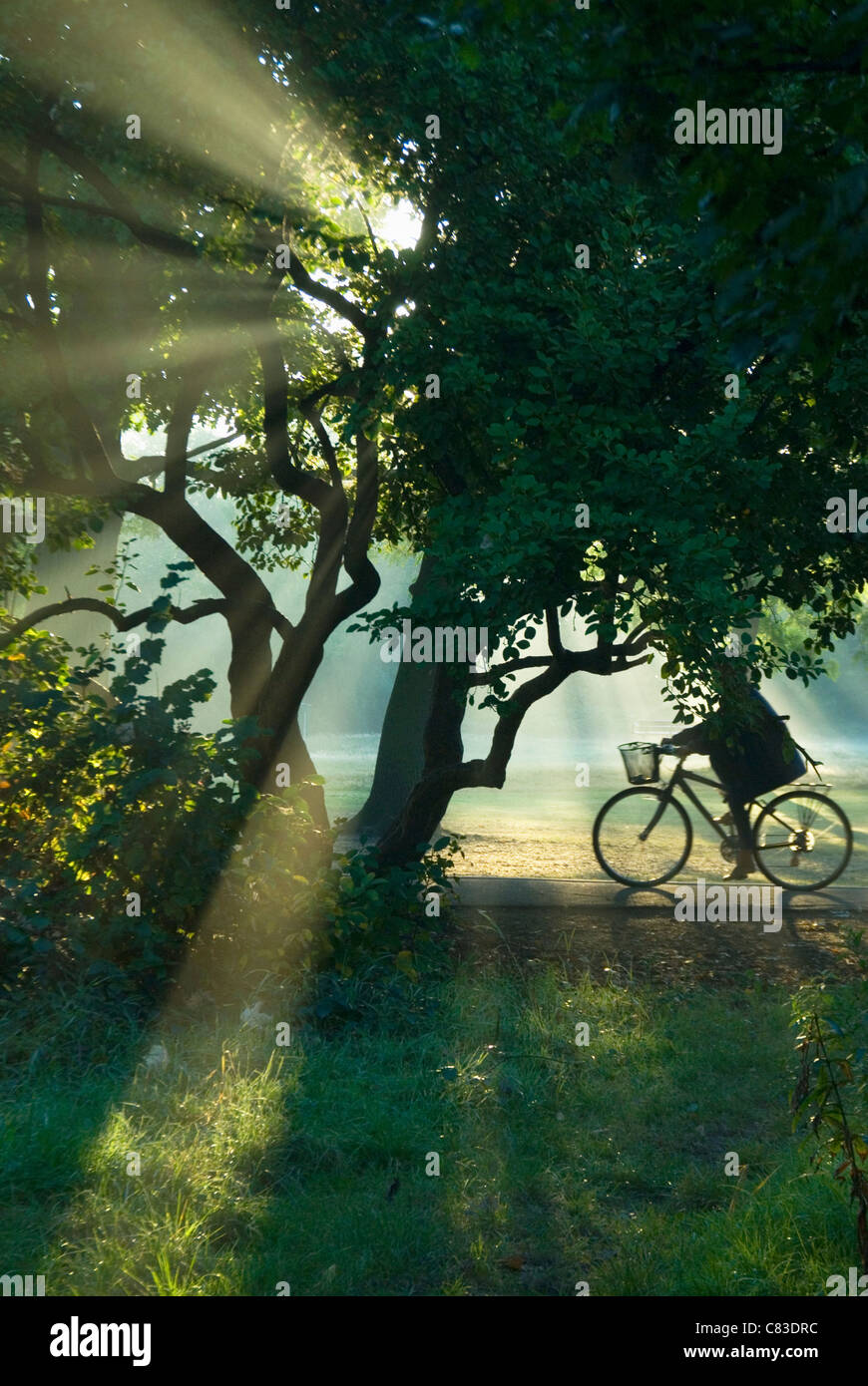 Early morning sun beam hi-res stock photography and images - Alamy