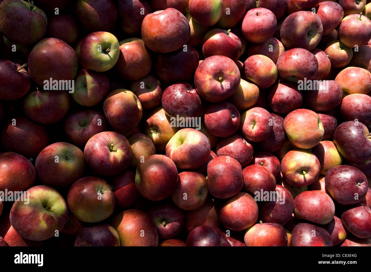 Apple colonnade hi-res stock photography and images - Alamy