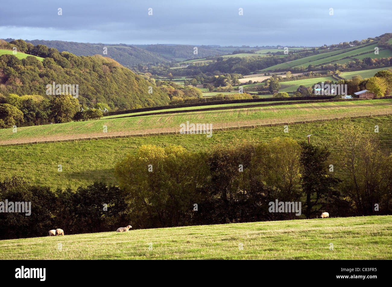Farming in the teign valley hi-res stock photography and images - Alamy