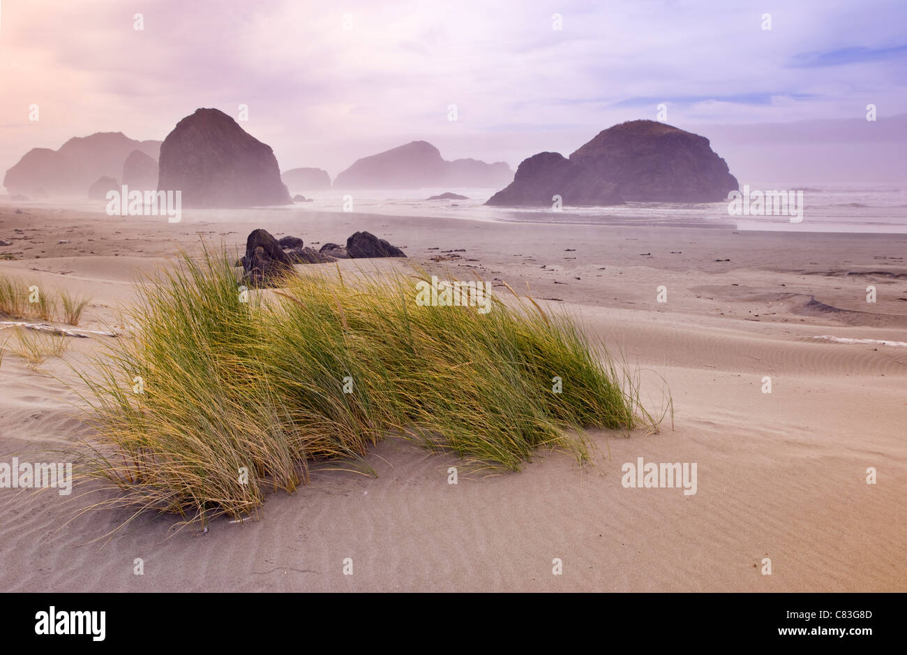 Deserted beach scene in southern Oregon Stock Photo - Alamy