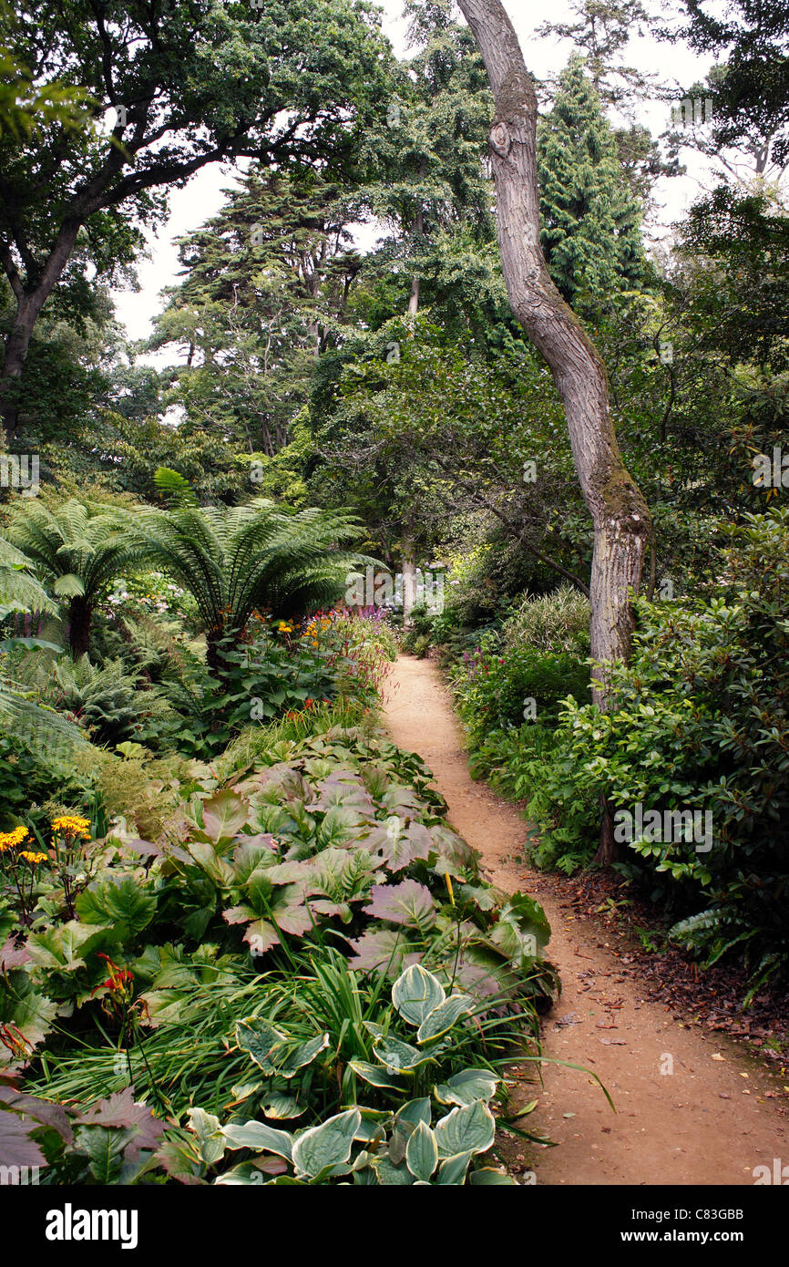 Footpath path pathway hi-res stock photography and images - Alamy