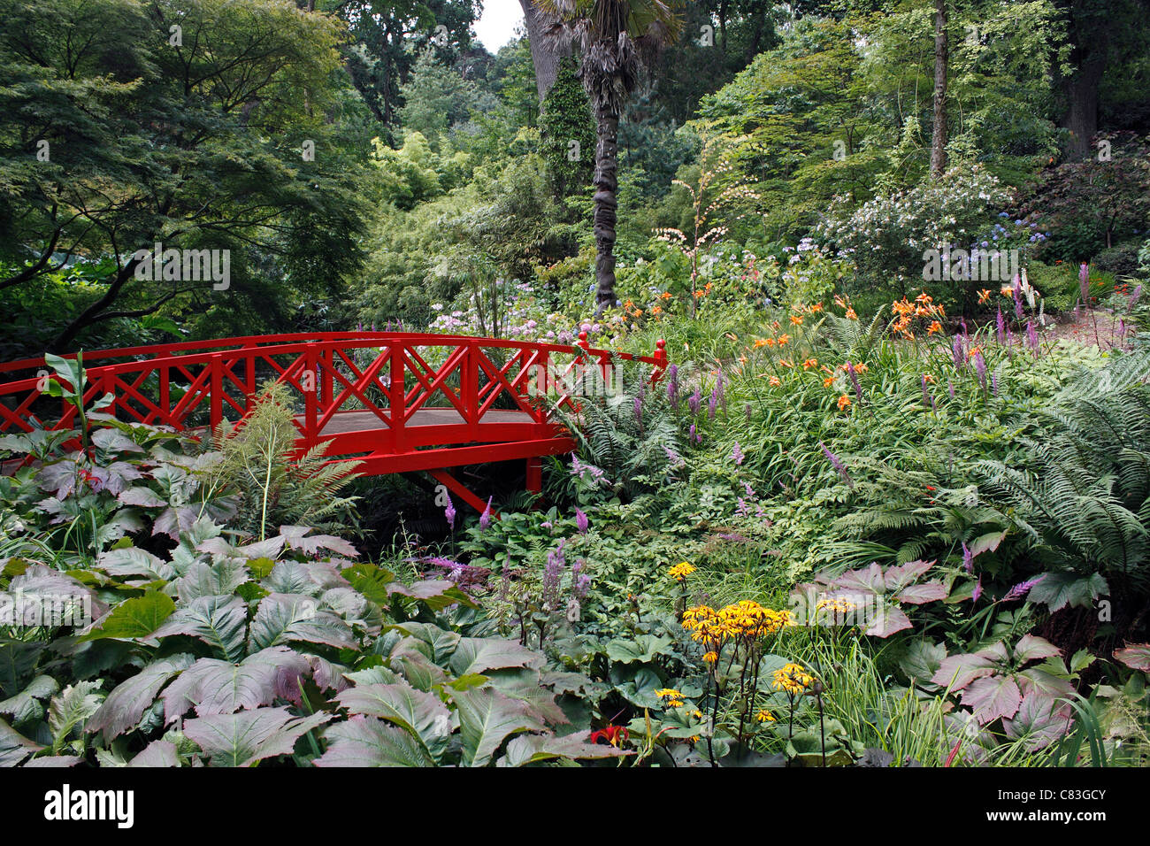 Subtropical plants and trees hi-res stock photography and images - Alamy