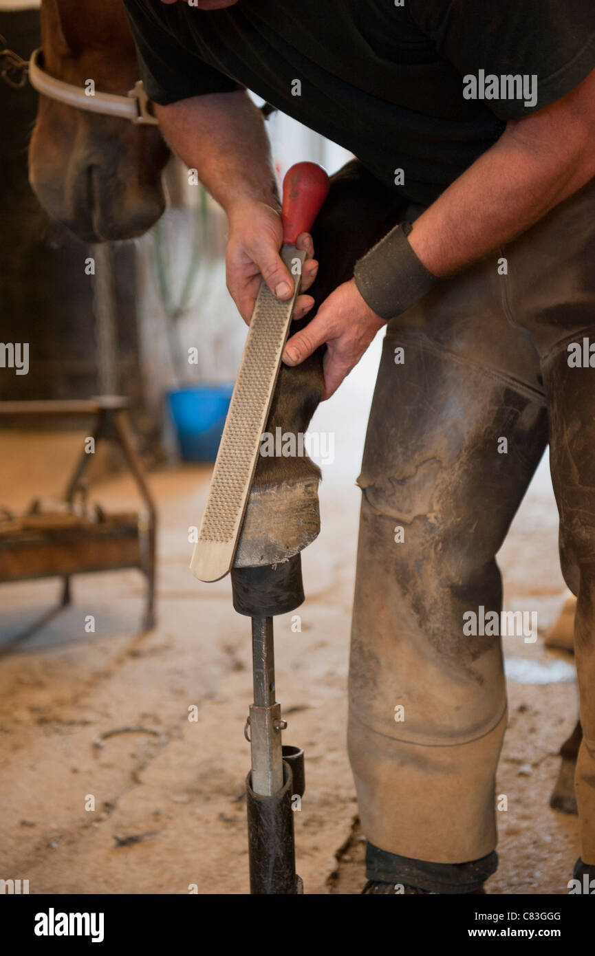 Farrier in action Stock Photo - Alamy
