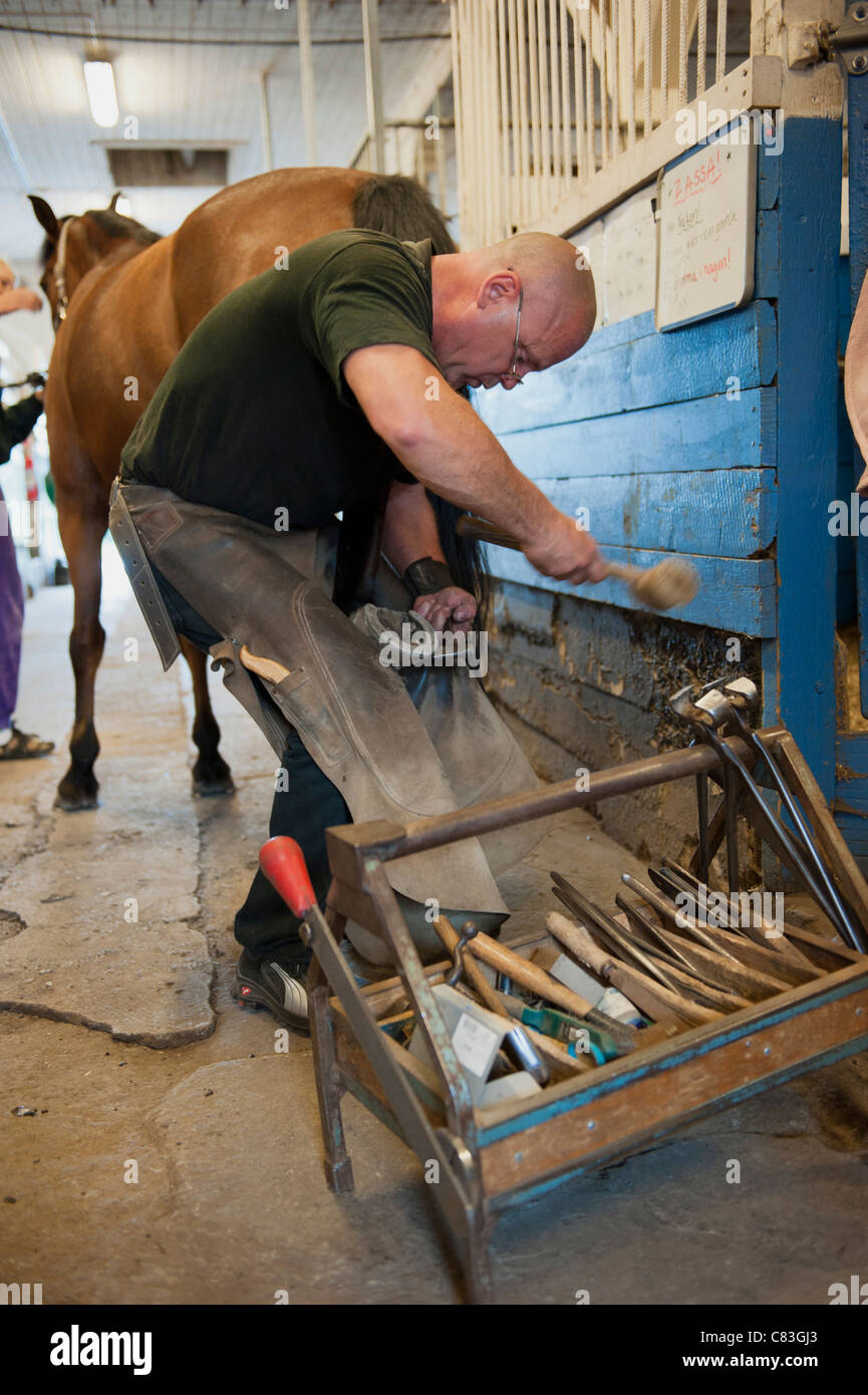 Farrier in action Stock Photo - Alamy