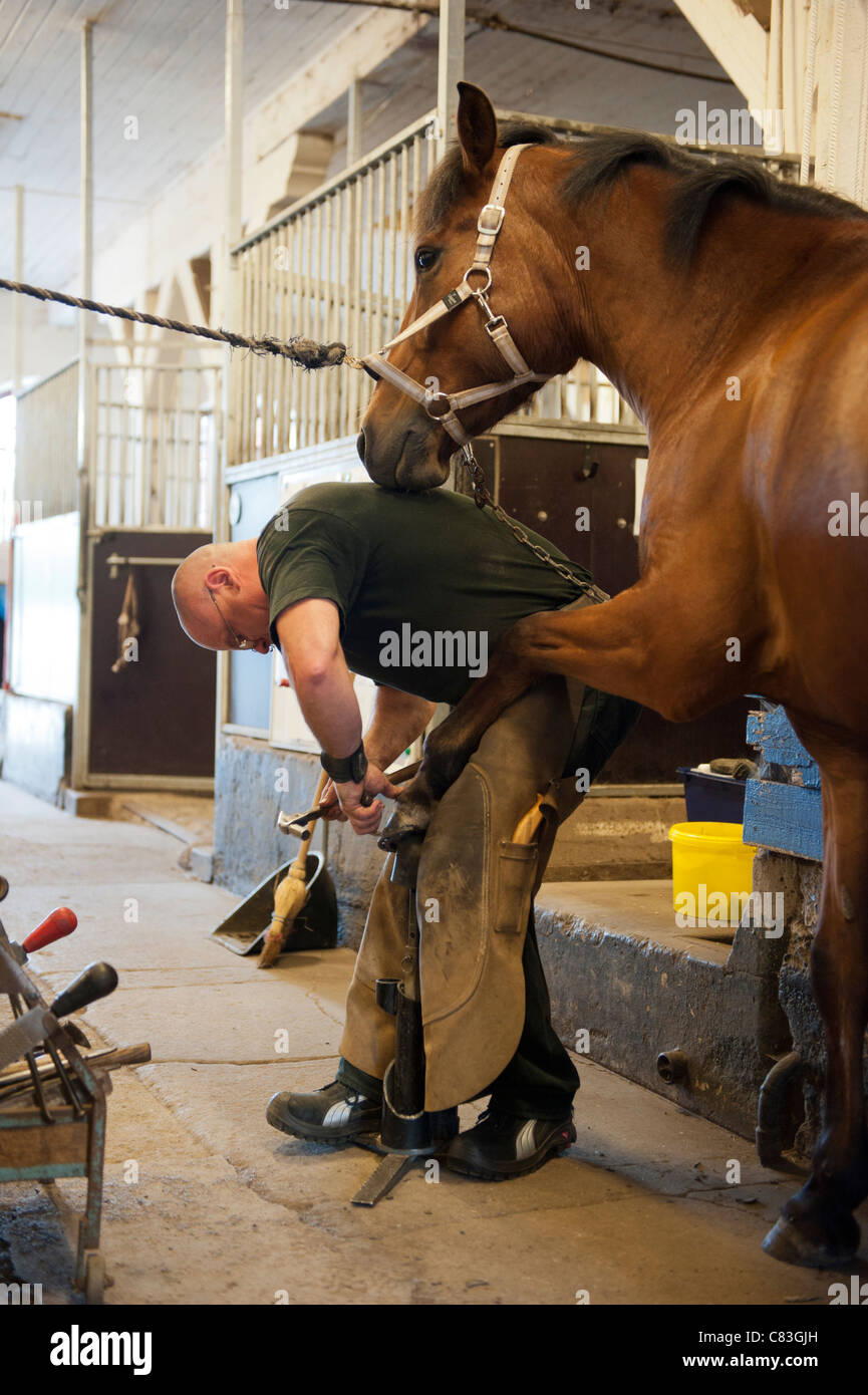 Farrier in action Stock Photo - Alamy