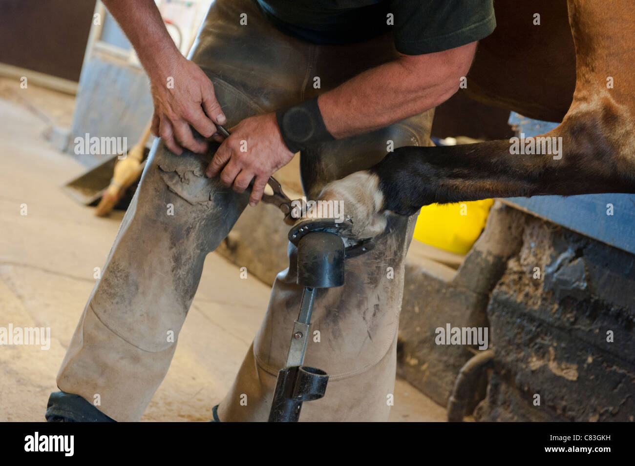 Farrier in action Stock Photo - Alamy