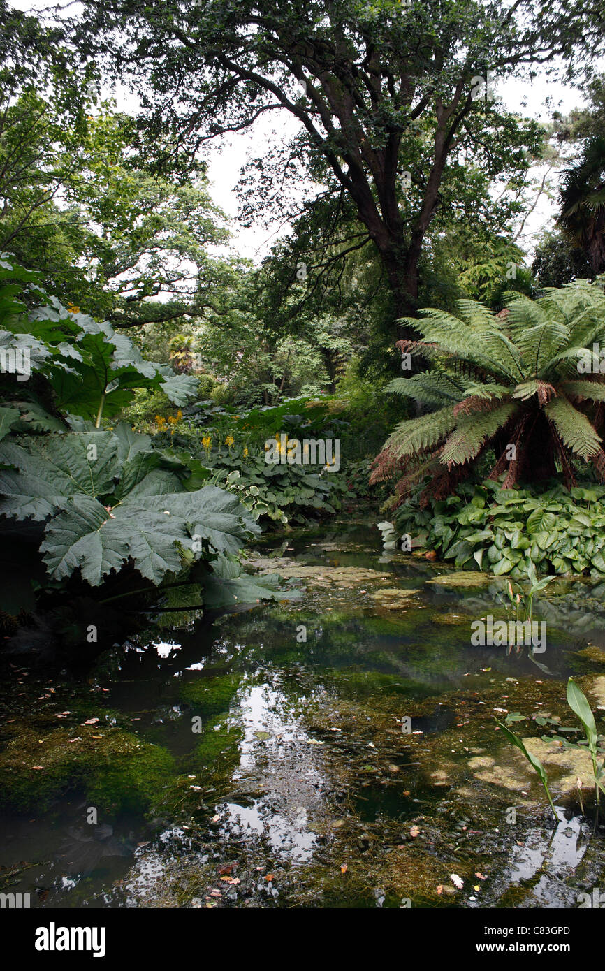 Summer tropical shrubs and gardens wildlife wildlife hi-res stock ...