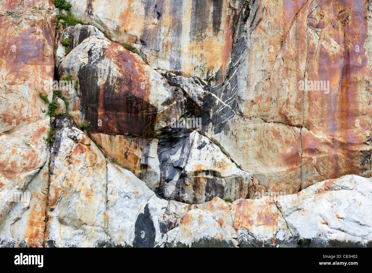 Granite Striations on the Cliff Face of Rndicott Arm, Inside Passage ...