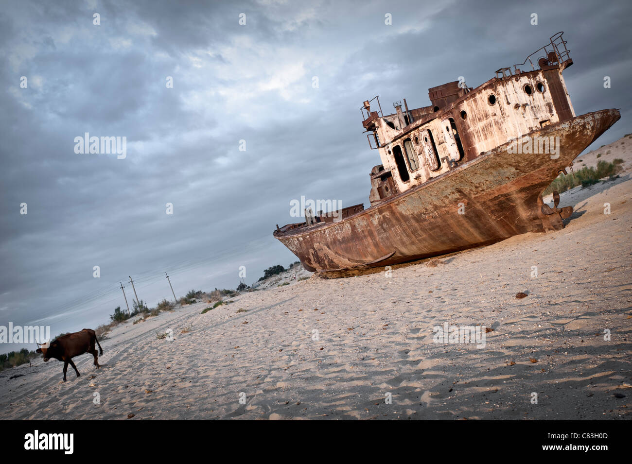 Desertification boat hi-res stock photography and images - Alamy