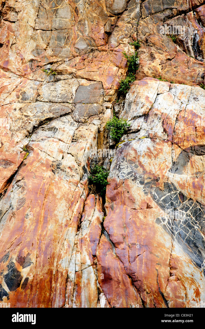 Granite Striations on the Cliff Face of Rndicott Arm, Inside Passage ...
